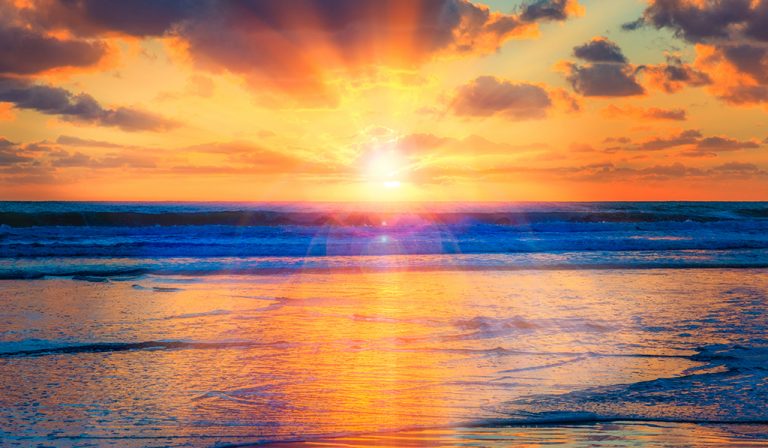 Welcome to the endless summer at Dylan Point Loma | Dylan Point Loma